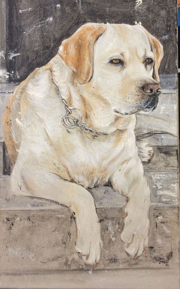 RETRATOS – Sofia Simões