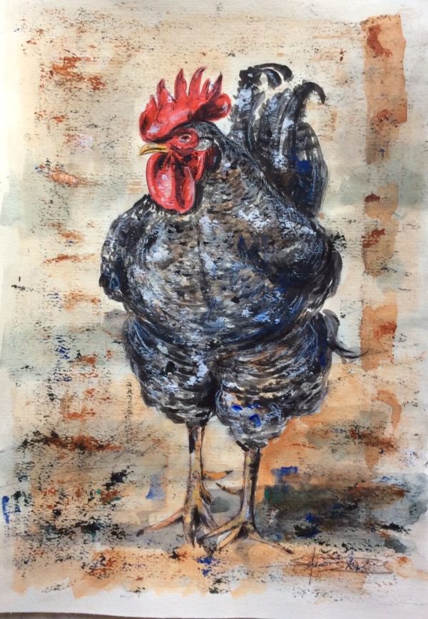 RETRATOS – Sofia Simões